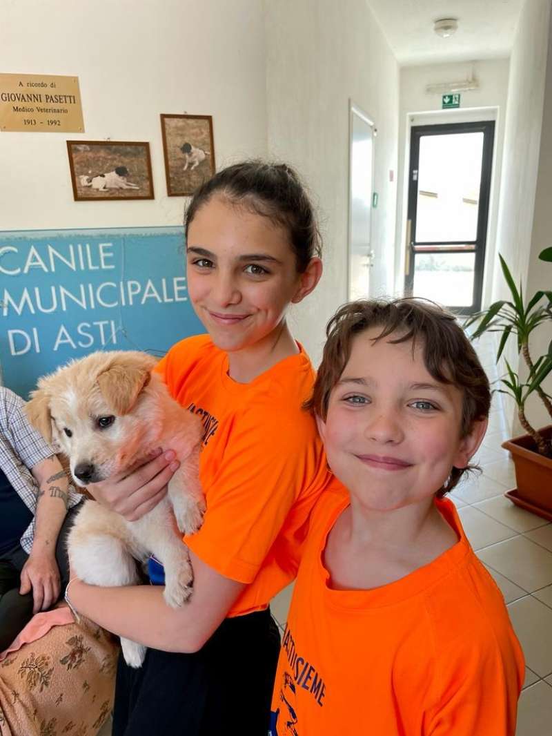 Au Pair Job, Asti | Italian Family with pets and two kids seeks a nanny
